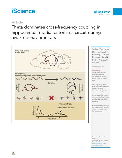 Pdf Theta Dominates Cross Frequency Coupling In Hippocampal Medial Entorhinal Circuit During