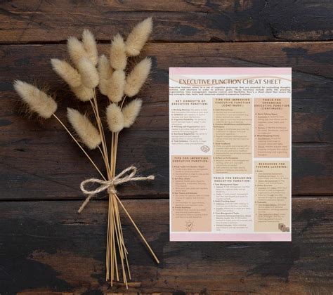 Executive Function Cheat Sheet Adhd Tools Adhd Resources Understanding Executive Function