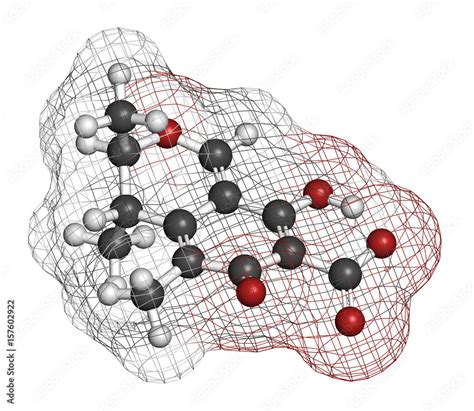 Citrinin Mycotoxin Molecule 3d Rendering Atoms Are Represented As