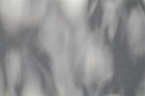 질감 배경 벽지와 디자인을 위한 흰색 콘크리트 벽 질감에 햇빛 오버레이 여름 계절 개념 0명에 대한 스톡 사진 및 기타 이미지 0명 검은색 공란 Istock