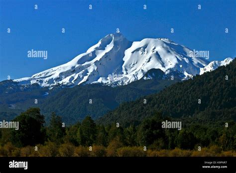 Alerce Andino National Park Banque De Photographies Et Dimages à Haute