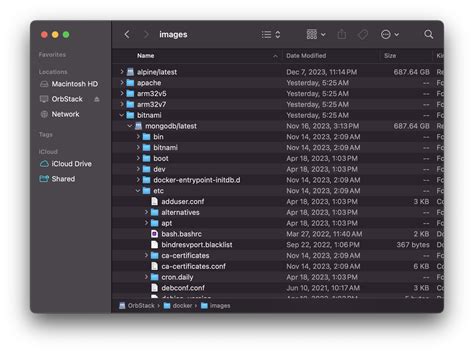 Container Image Volume Files OrbStack Docs