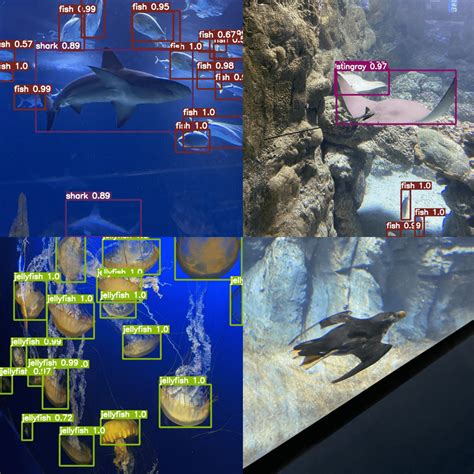 Train Detr On Custom Dataset