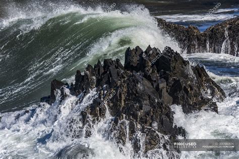 Surf Breaks On A Basalt Outcrop At Cape Falcon Manzanita Oregon United States Of America