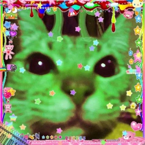 Lilly ྀིྀི Lillycore ྀིྀི Lillyheidari14 Snapchat Stories Spotlight And Lenses