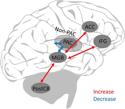 And Schematic Representation Of Increased Decreased Functional