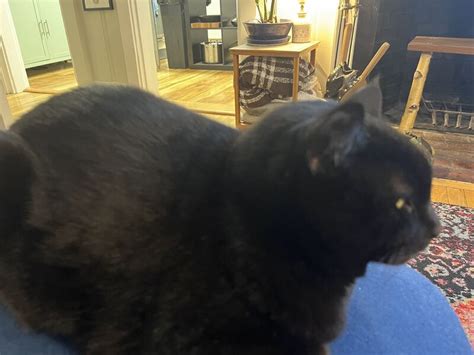 Guide To The Td4 4 Bit Diy Cpu Hey There Buddo