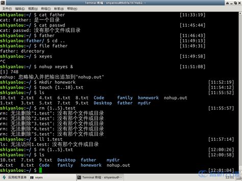 linux 目录结构及文件基本操作 蓝桥云课