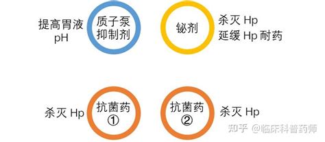 根除幽门螺杆菌，如何用药交代？ 知乎