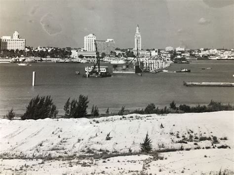 Laura Dibella Posted On Linkedin