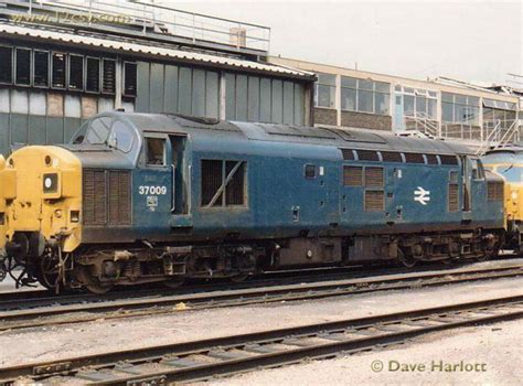 Eeg Classes Class 37