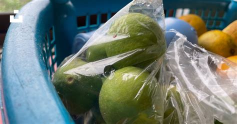 초록색 사과와 오렌지로 가득 찬 파란 바구니 사진 Unsplash의 무료 카사 이미지