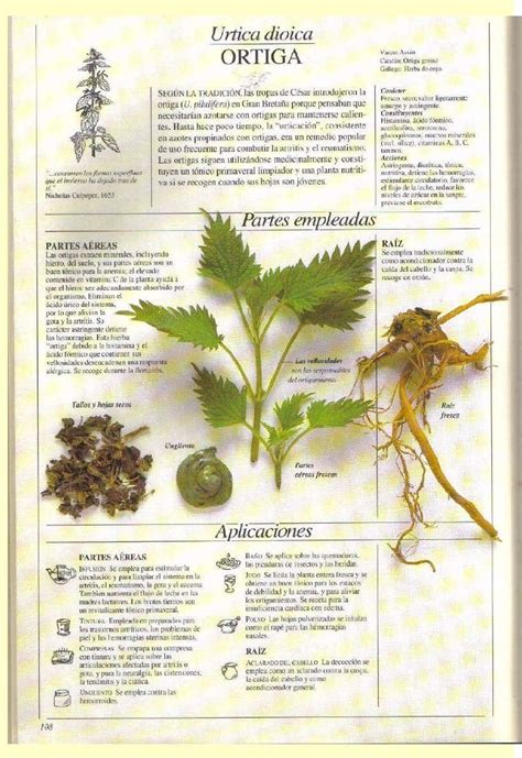 Las Plantas Medicinales Penelope Ody Pdf Medicinal Plants