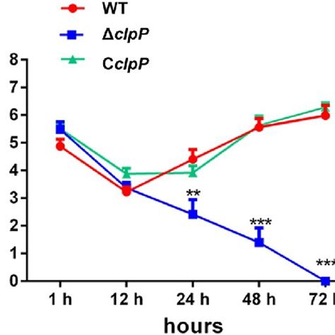 The Clpp Protease Was Involved In Brucella Virulence In Macrophage Download Scientific Diagram