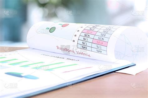业务图表分析报告。项目预算