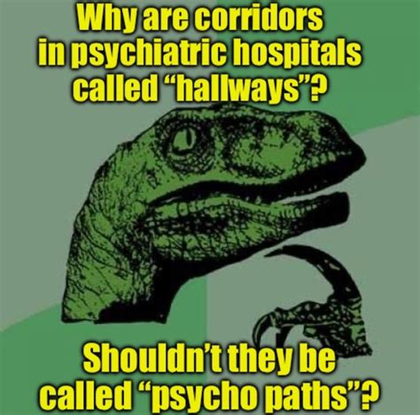 Beste Philosoraptor Memes The Best Philosoraptor Memes Memedroid