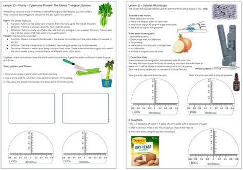Pocket Microscope 100x Magnification With Downloadable Workbook Tiny Science Lab
