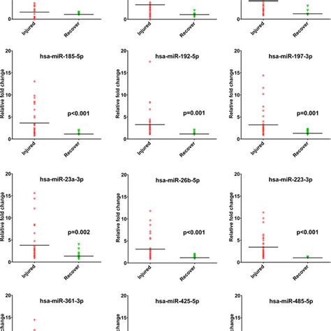 The Real Time Quantitative Reverse Transcription Polymerase Chain