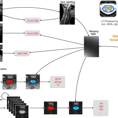 Overview Of The Processing Pipeline Based On Sct Briefly For Each Download Scientific Diagram