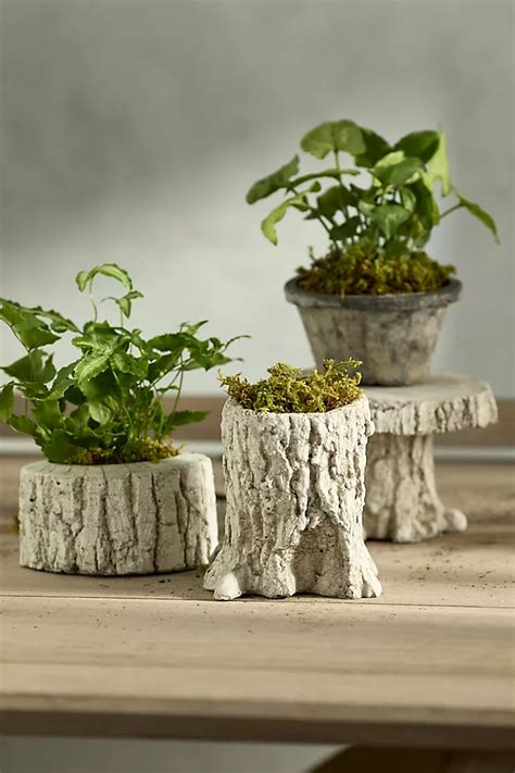 Faux Bois Stand Anthroliving