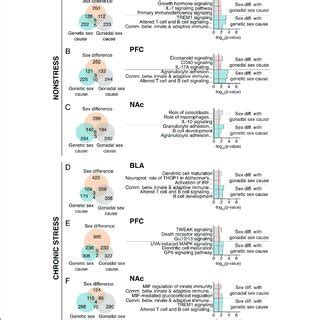 Sex Differences In Genes And Pathways Affected By Stress A C Venn Download Scientific Diagram