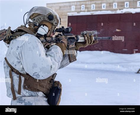 A Us Marine With 1st Battalion 2nd Marine Regiment 2nd Marine Division Shoots The M27 Rifle