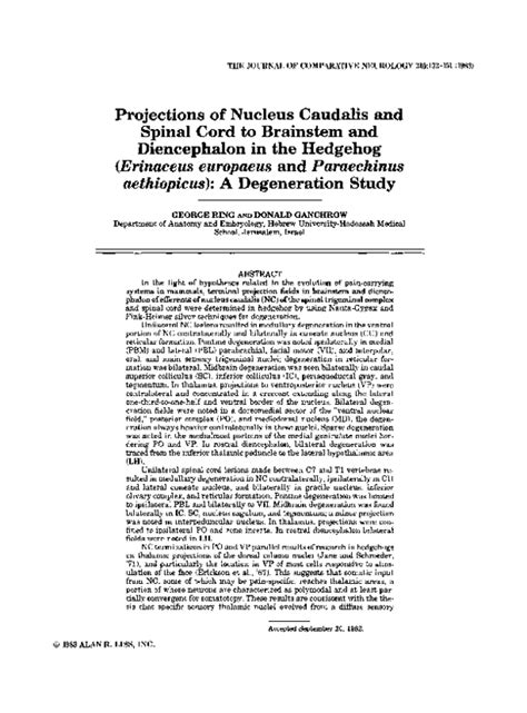 Pdf Projections Of Nucleus Caudalis And Spinal Cord To Rrainstem And Diencephalon In The