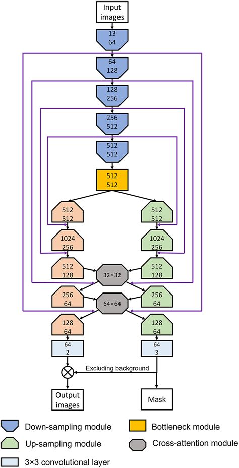 Bright Field To Fluorescence Microscopy Image Translation For Cell