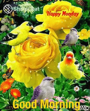 Good Morning Monday S Tenor