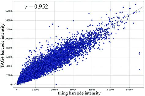 Tag4 And Tiling Array Data Correlation After Antibody Staining This