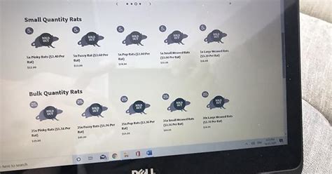 Shopify Example Album On Imgur