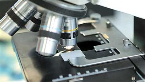 Hormone Testing Uci Mens Health Male Infertility And Erectile Dysfunction Specialists