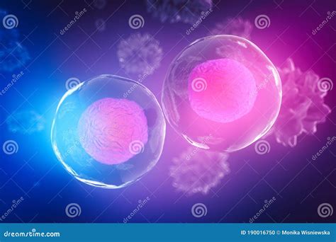 Research Of Stem Cells Cells Under A Microscope Cellular Therapy Cell Division Royalty Free