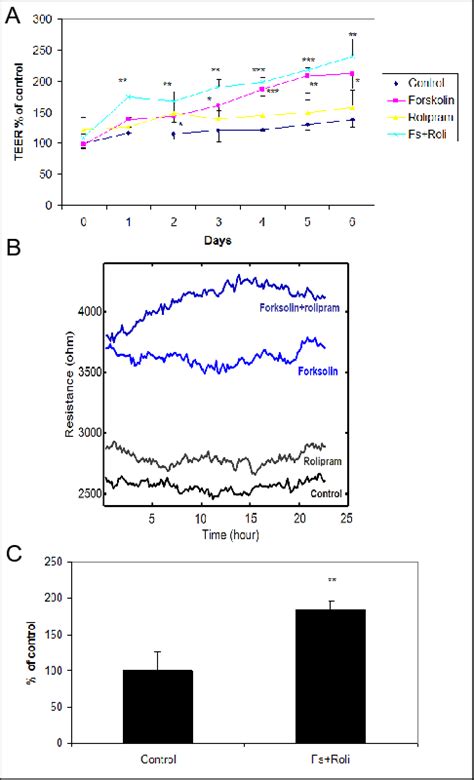 A Continuous Measurement Of Teer Using Ecis System During Six Days Of