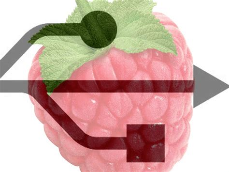 Collegare Disco Usb A Raspberry Pi Raspberryitaly