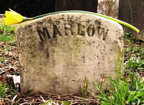 Marlow Harrison 1892 1893 Homenaje De Find A Grave