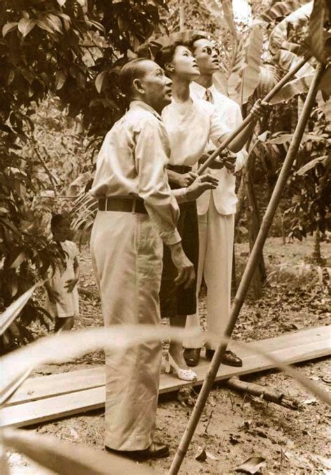 เรารักราชวงศ์จักรี ๑๗ มิถุนายน ปีพุทธศักราช ๒๔๙๖ พระบาทสมเด็จพระเจ้าอยู่หัวเสด็จประพาสสวน