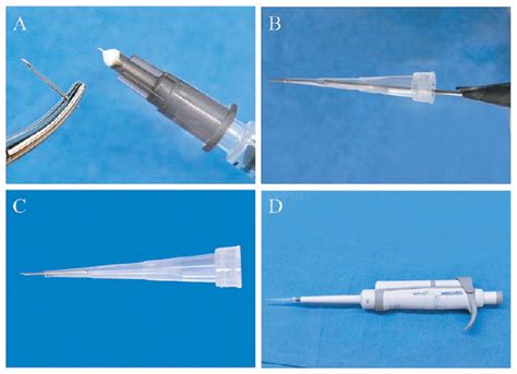 Figure 1 From A Novel And Low Cost Approach For Intravitreal Injection In An Experimental Model