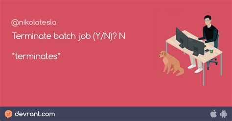 ctrl c terminate batch job y n n terminates devrant