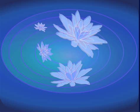 Motion Design Behance