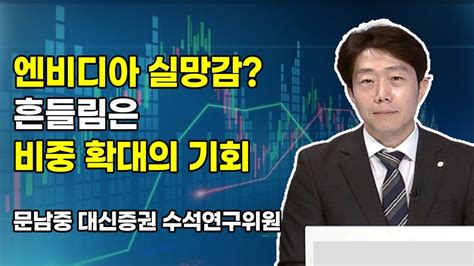 시황의 해설자들 엔비디아 실망감 흔들림은 비중 확대의 기회 머니투데이방송 증시 증권 Youtube