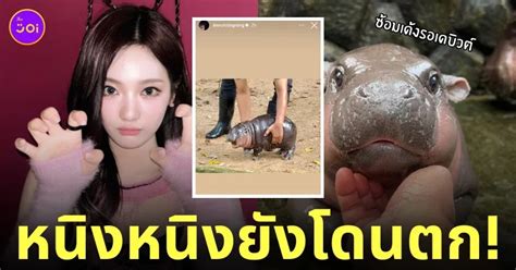 น้องหมูเด้ง ฮิปโปแคระเซเลปเขาเขียวดังไกลถึงเกาหลี จน หนิงหนิง Aespa ยังต้องแชร์