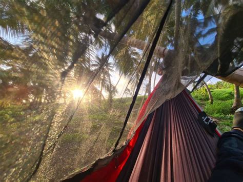 Andrea Roach Posted On Linkedin