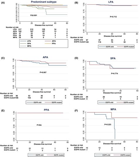 Dfs Curves Of Different Egfr Mutation Statuses Stratified By Download Scientific Diagram