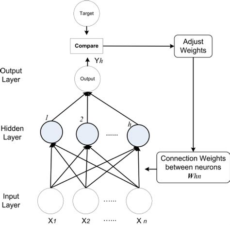 Basic Backpropagation Ann Model Download Scientific Diagram
