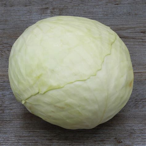 Chou Blanc Noah Primeurs