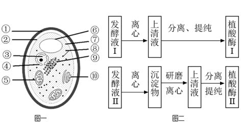 回答下面与课本活动有关的几个问题：