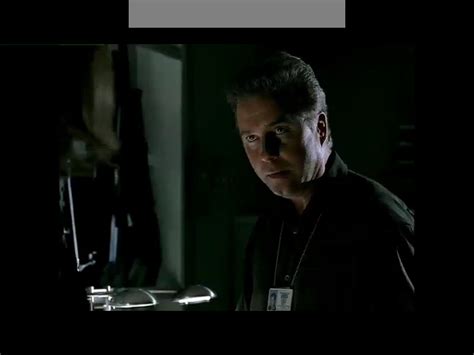 Sex Lies And Larvae CSI Crime Scene Investigation X TVmaze