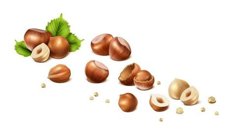Hazelnut Background Vector Art Icons And Graphics For Free Download