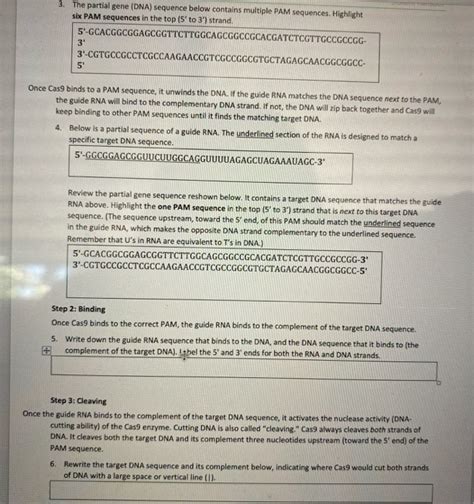 Solved 3 The Partial Gene Dna Sequence Below Contains